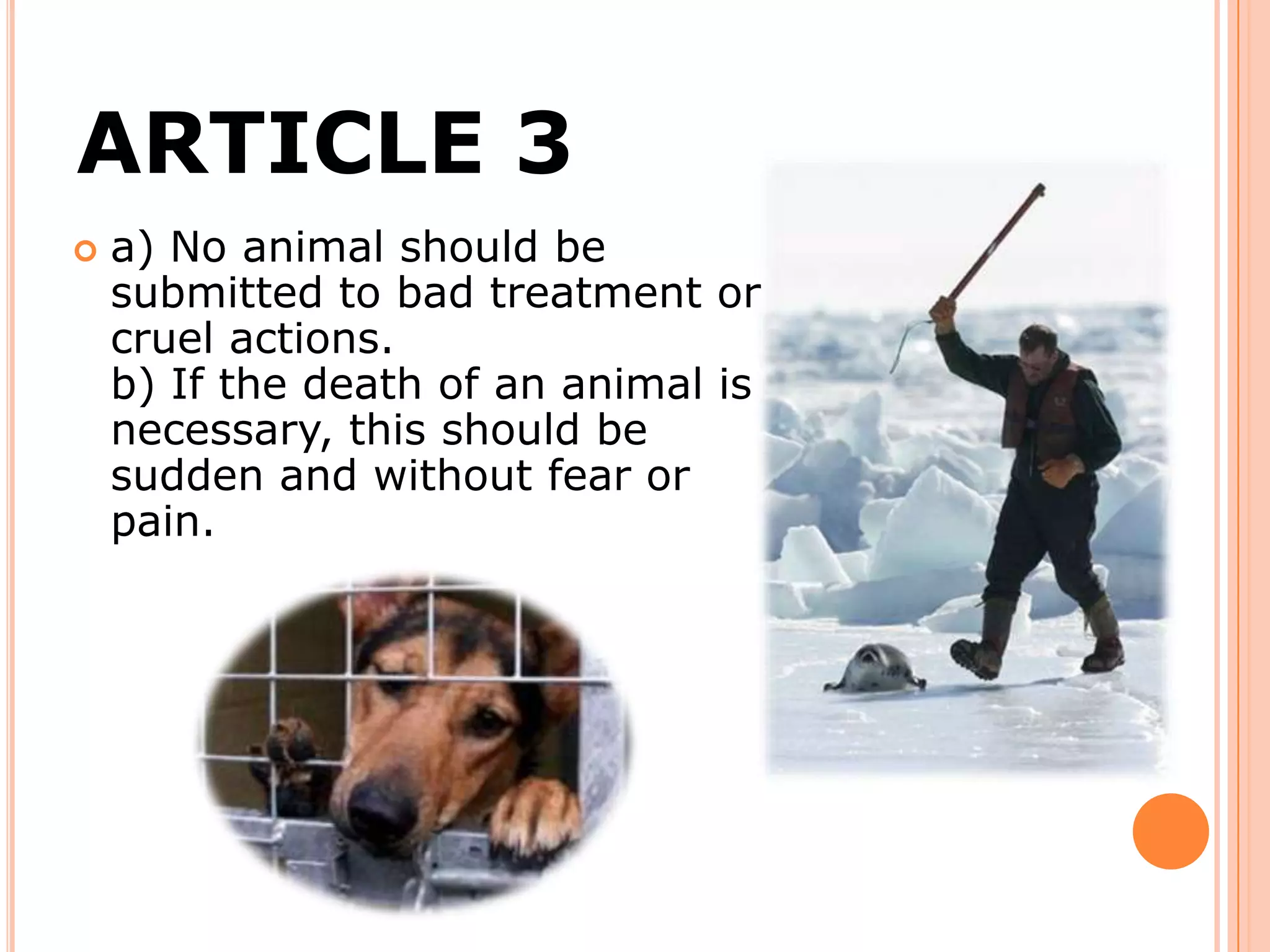 Animal rigths part 1 | PPT