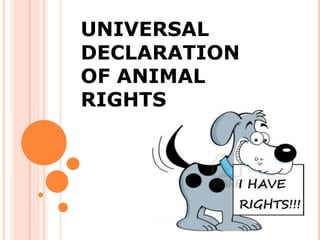 Animal rigths part 1 | PPT