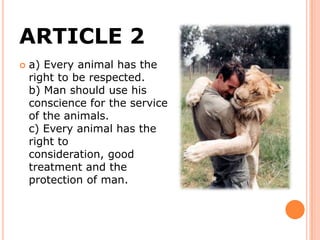 Animal rigths part 1 | PPT