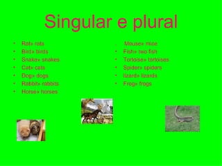 Animals | PPT
