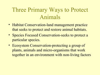 Animals | PPT