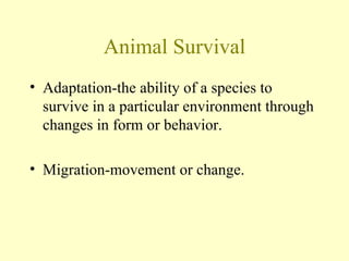 Animals | PPT