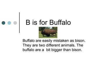 Animals | PPT
