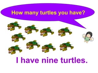 Animals | PPT
