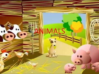 Animals | PPTX