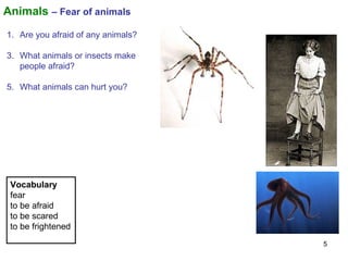 Animals | PPT