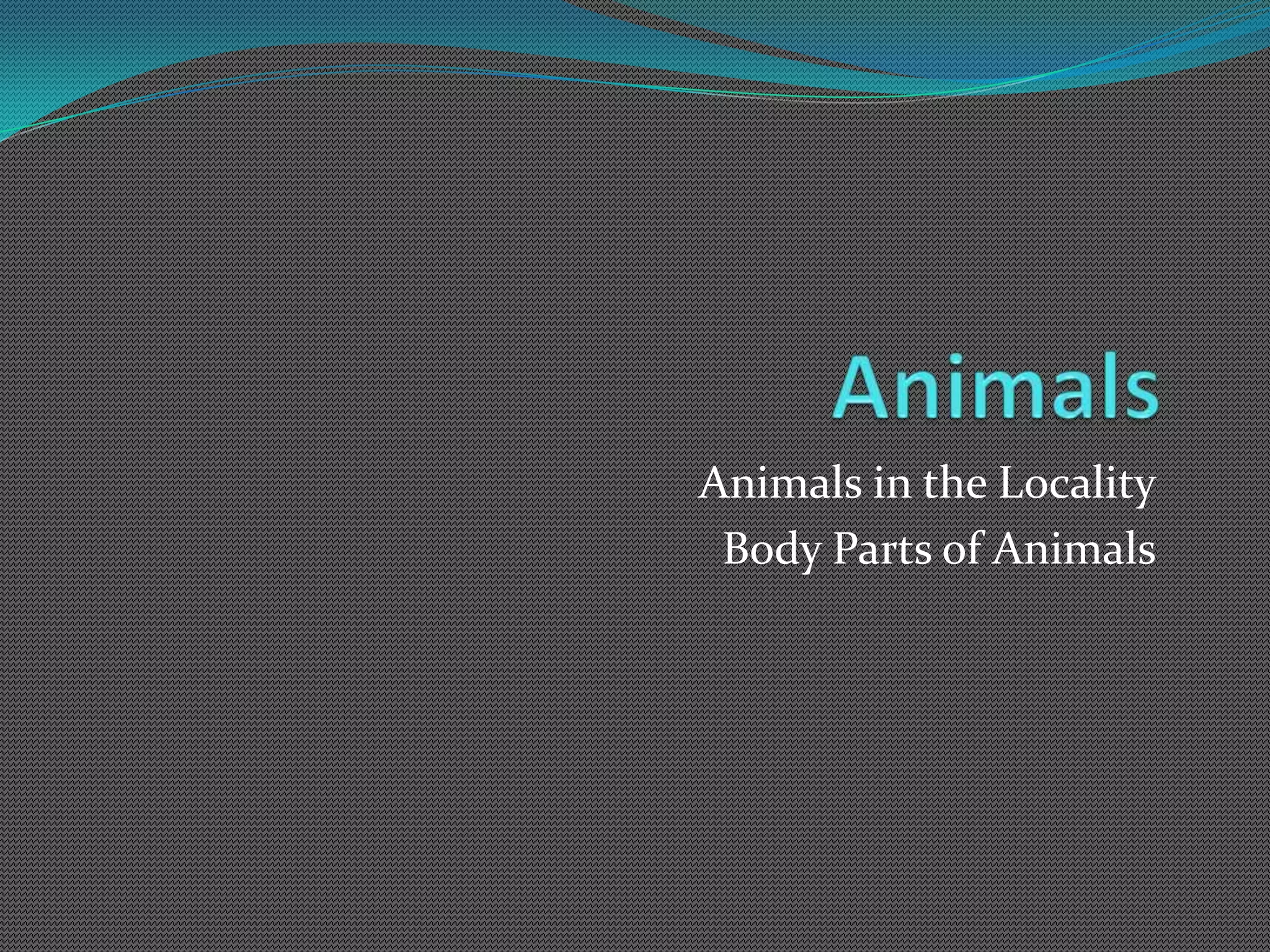 Animals in the locality, body parts of animals, Special body parts of ...