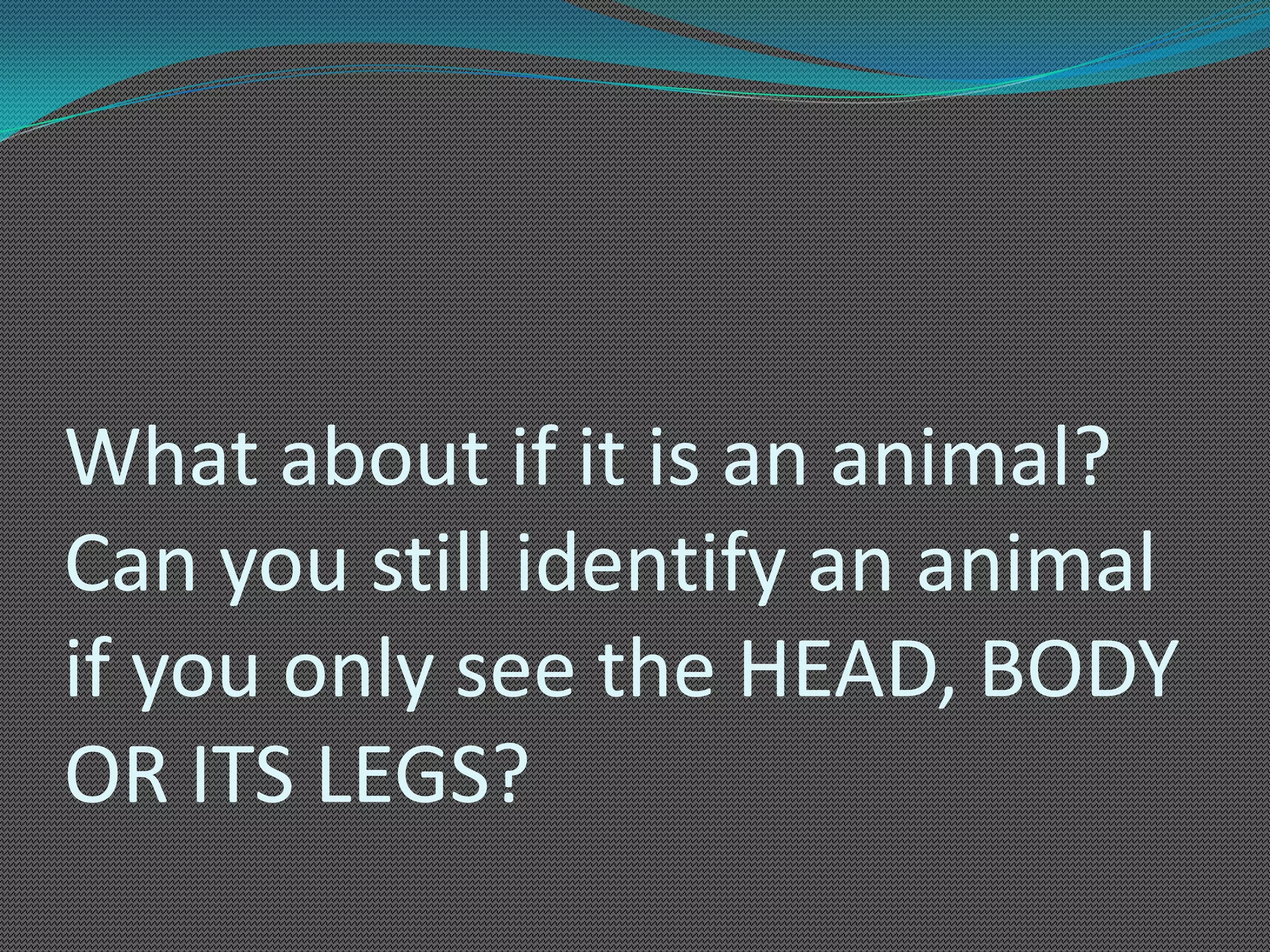 Animals in the locality, body parts of animals, Special body parts of ...