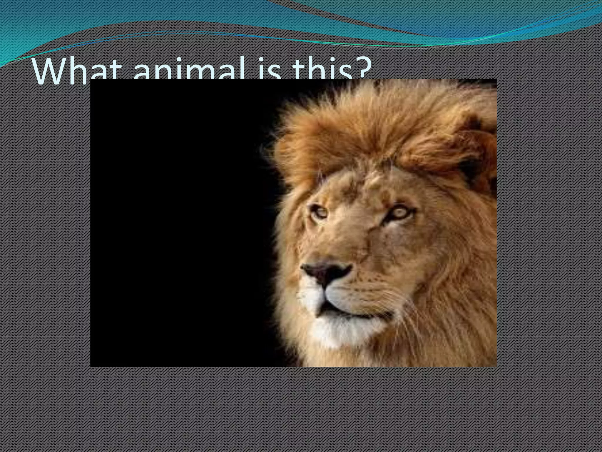 Animals in the locality, body parts of animals, Special body parts of ...