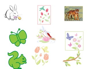 Animals | PPT