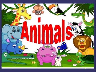 Animals | PPT