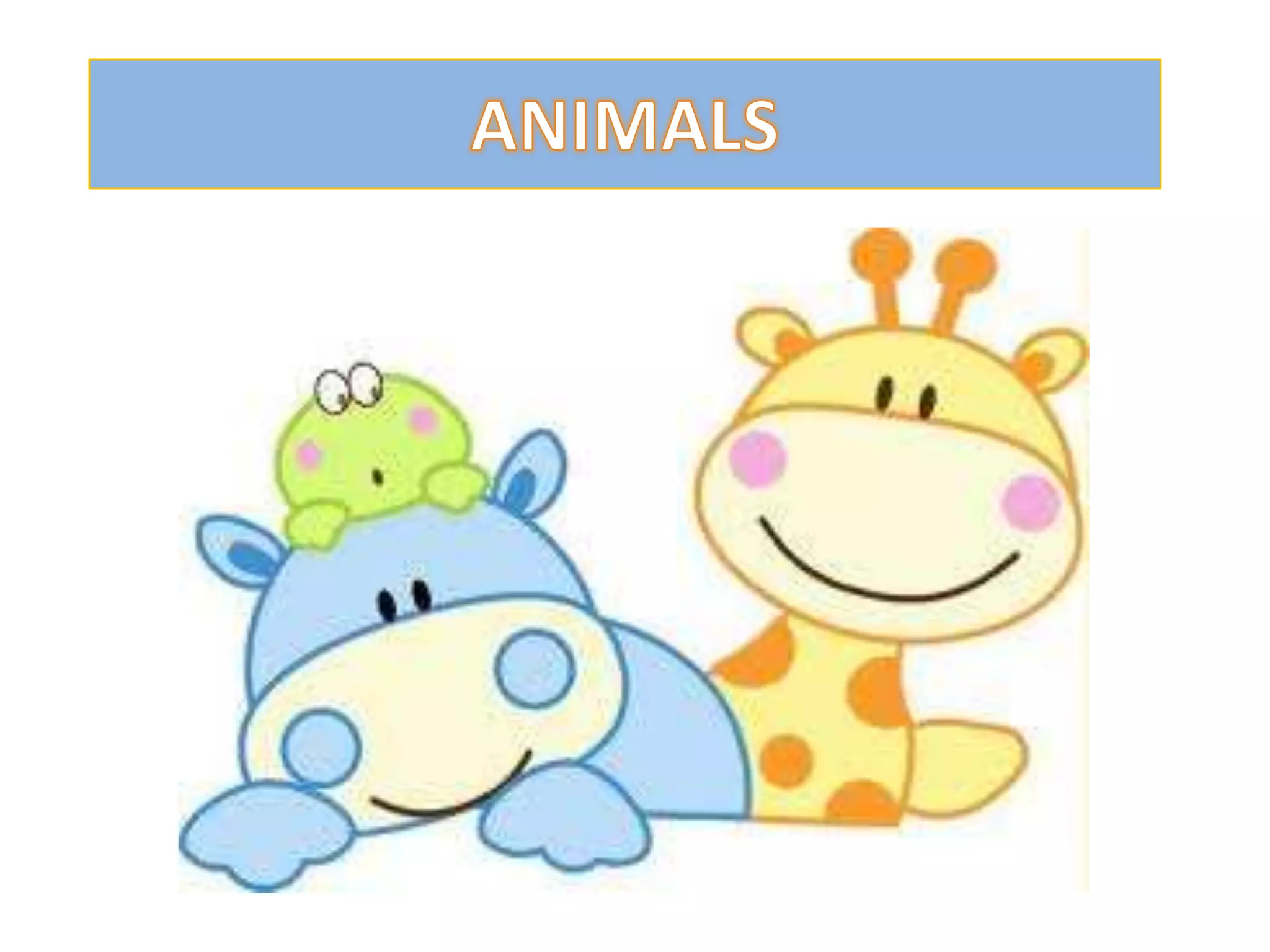 ANIMALS AND COLOURS | PPTX