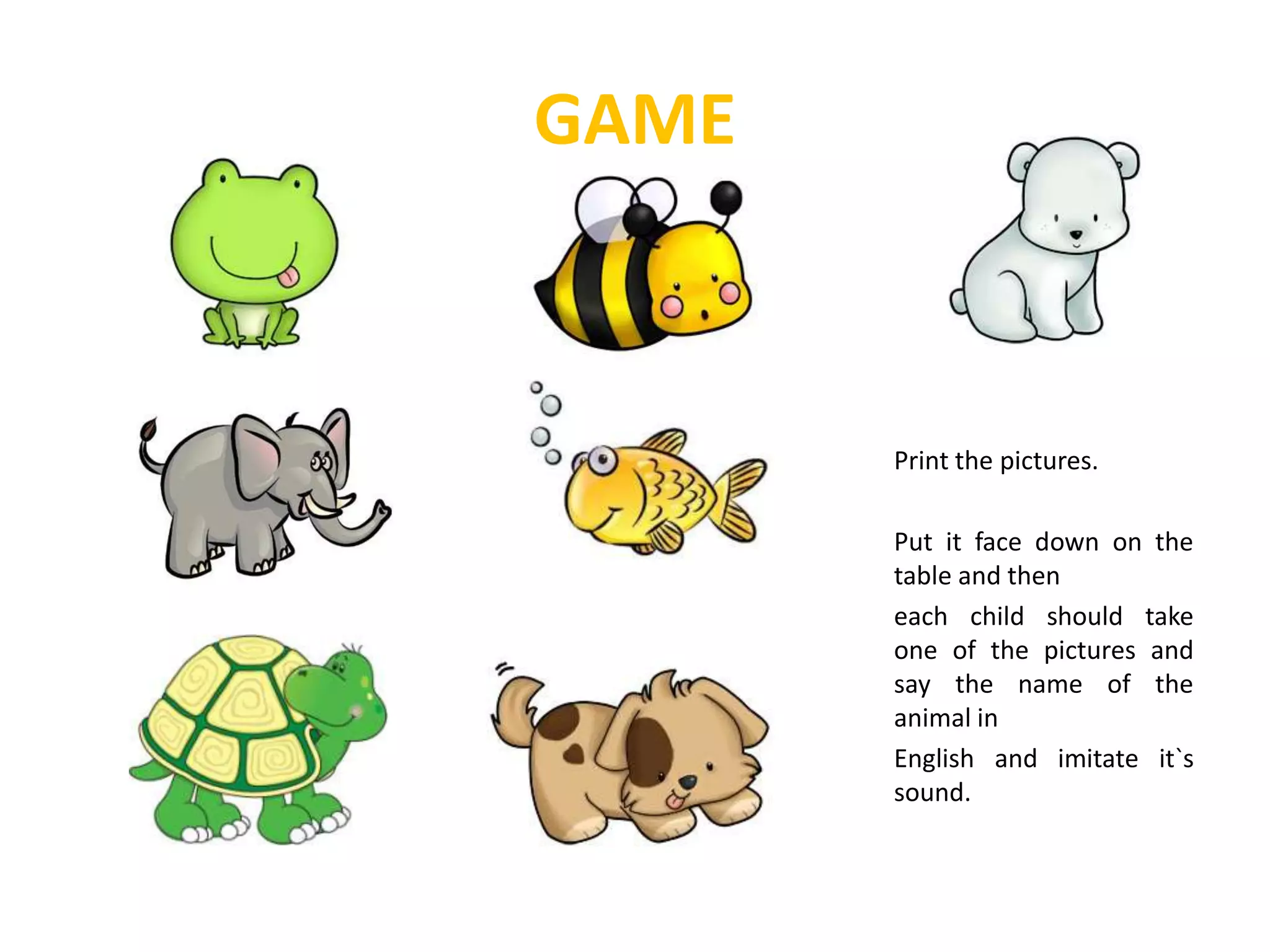 ANIMALS AND COLOURS | PPTX