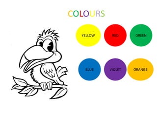 ANIMALS AND COLOURS | PPTX