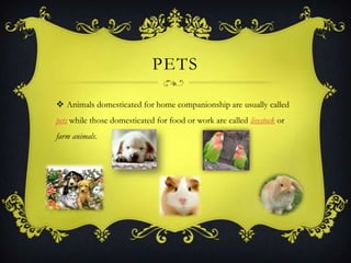 Animals | PPT