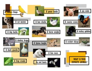 Animals | PPT
