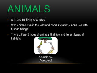 Animals ! | PPTX