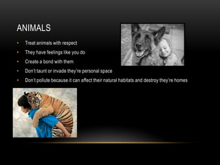 Animals ! | PPTX