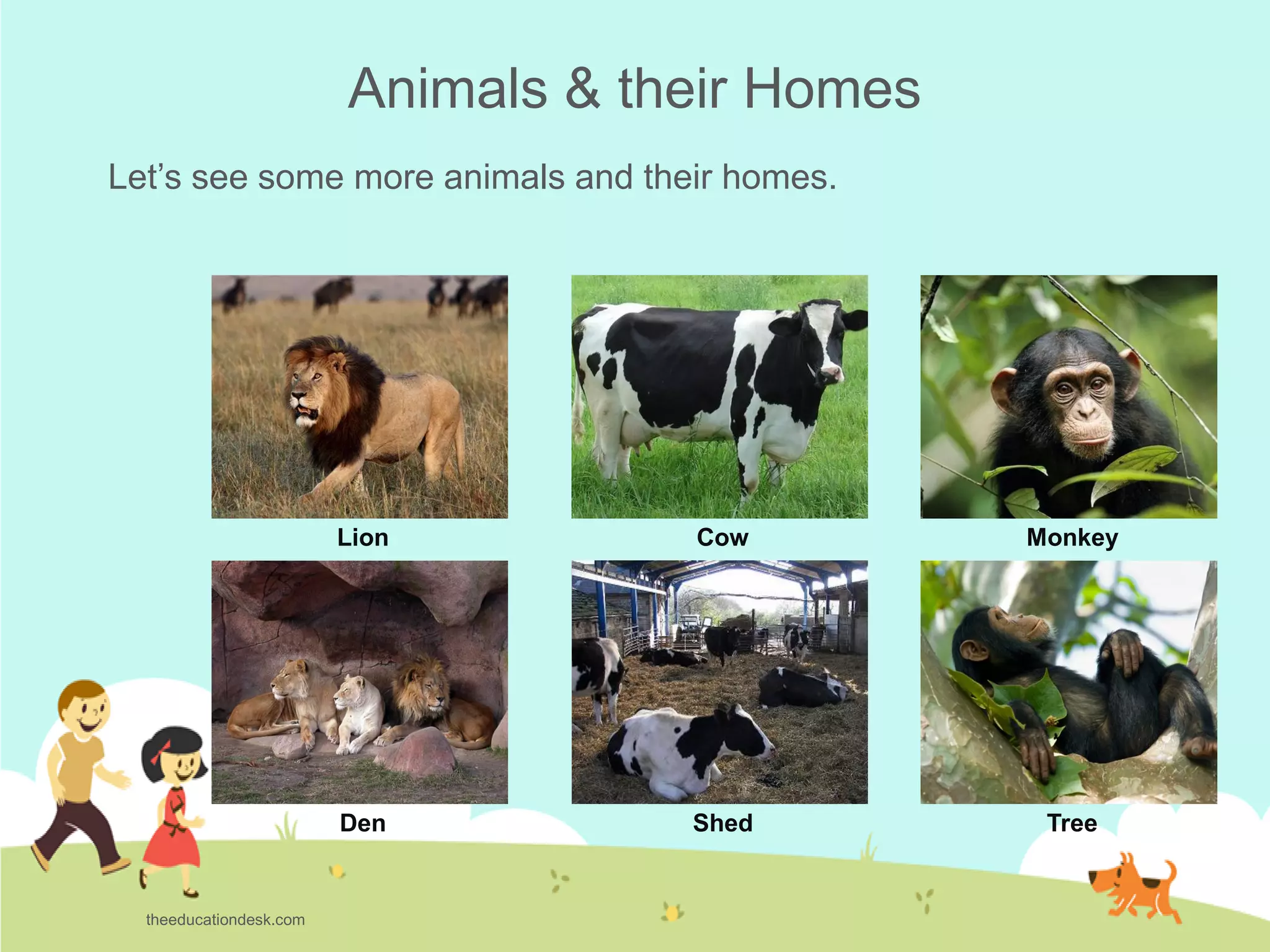 Environmental Science (EVS) : Animals (Class II) | PDF