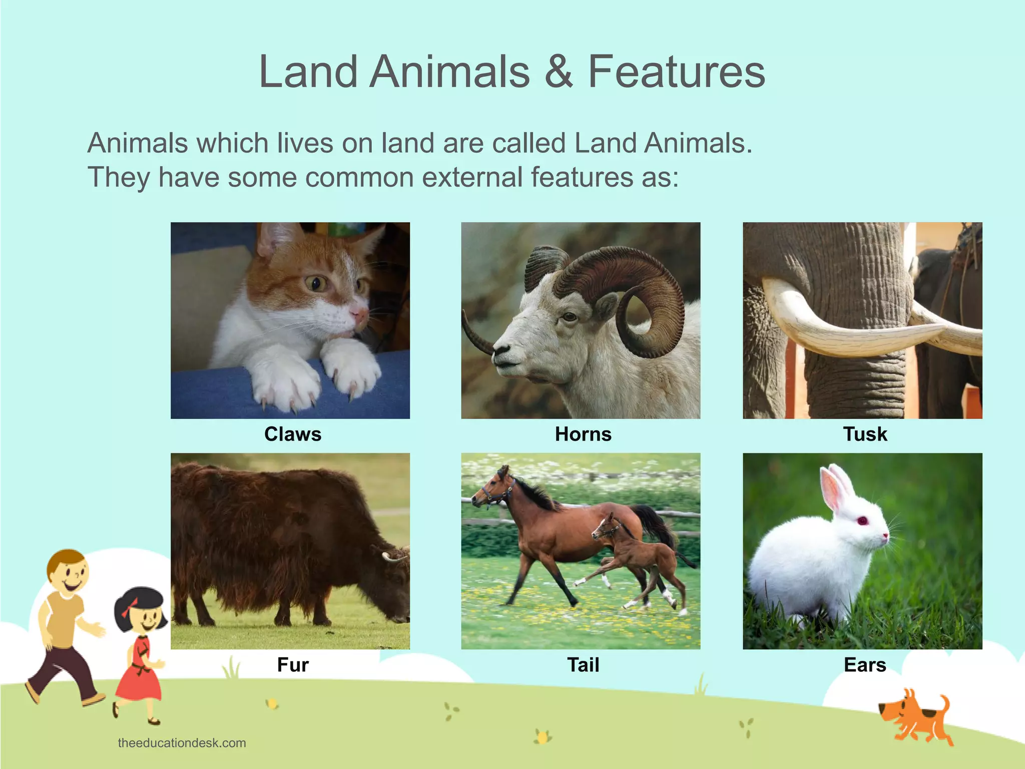 Environmental Science (EVS) : Animals (Class II) | PDF