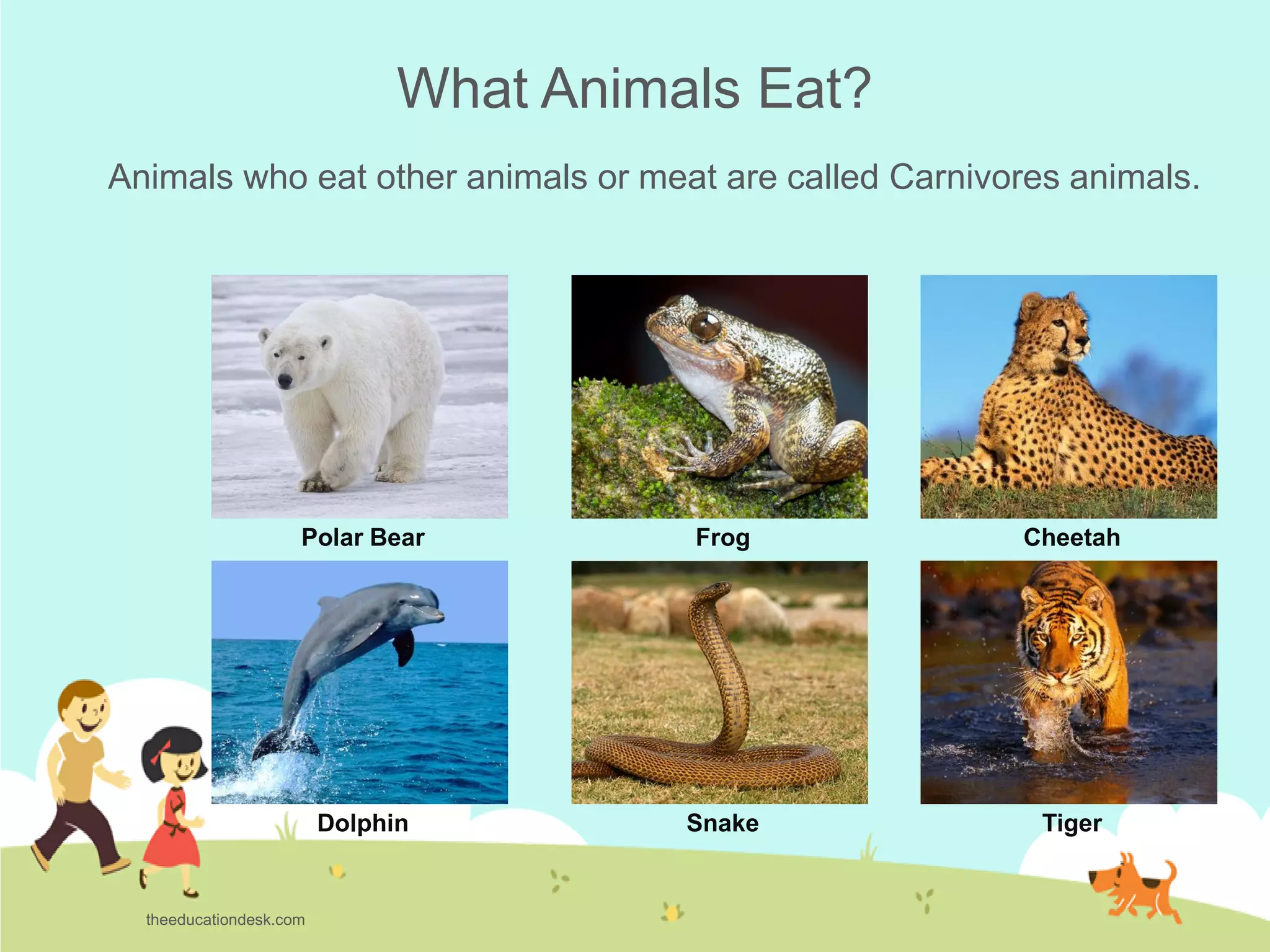 Environmental Science (EVS) : Animals (Class II) | PDF