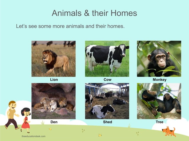 Environmental Science (EVS) : Animals (Class II) | PDF | Dogs | Pets