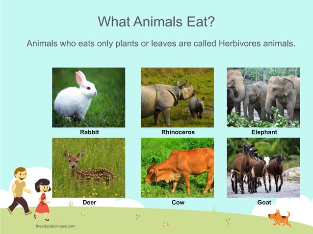 Environmental Science (EVS) : Animals (Class II) | PDF | Dogs | Pets