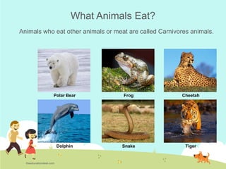 Environmental Science (EVS) : Animals (Class II) | PDF