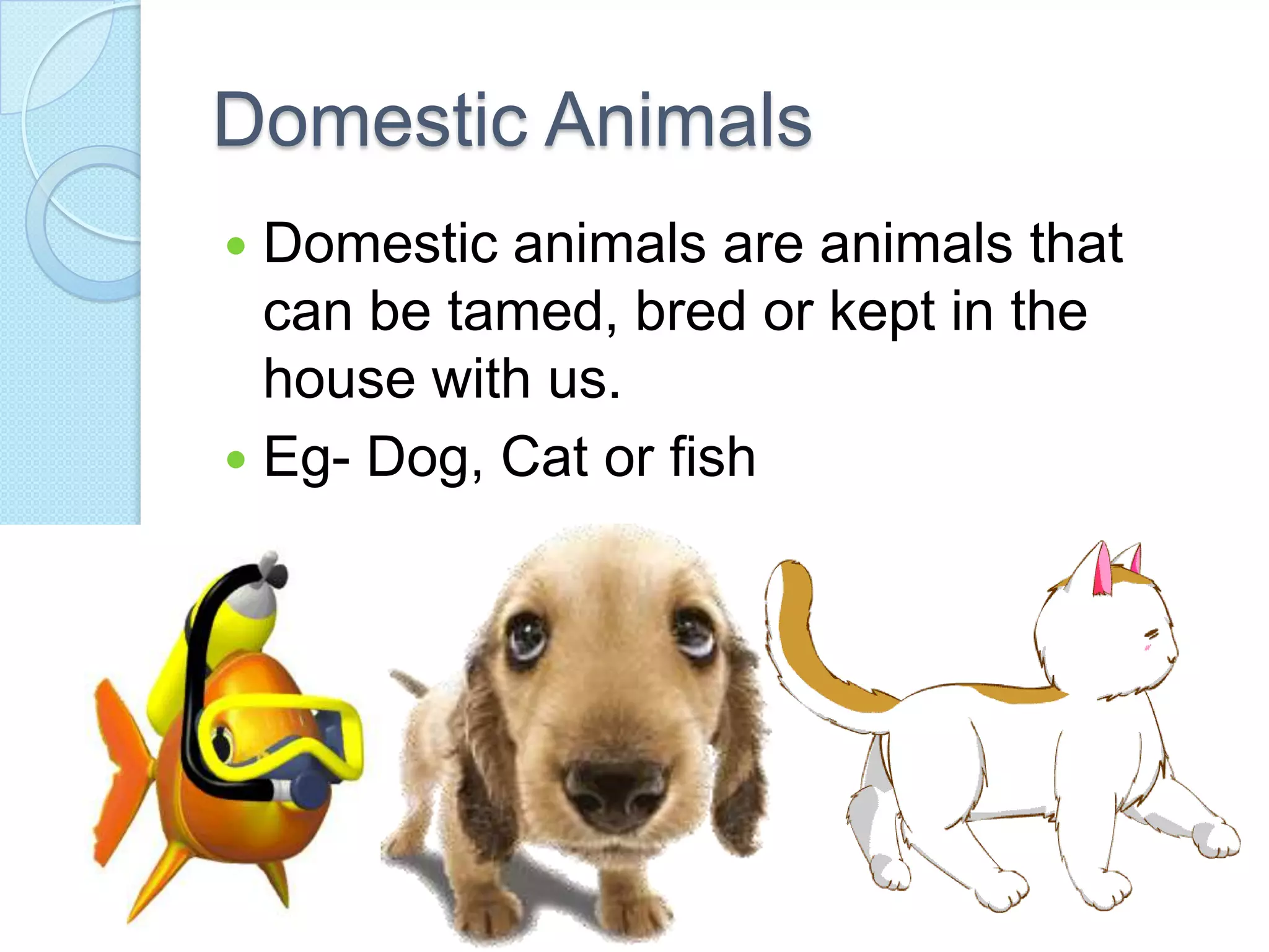 Animals (Brief Description) | PPT