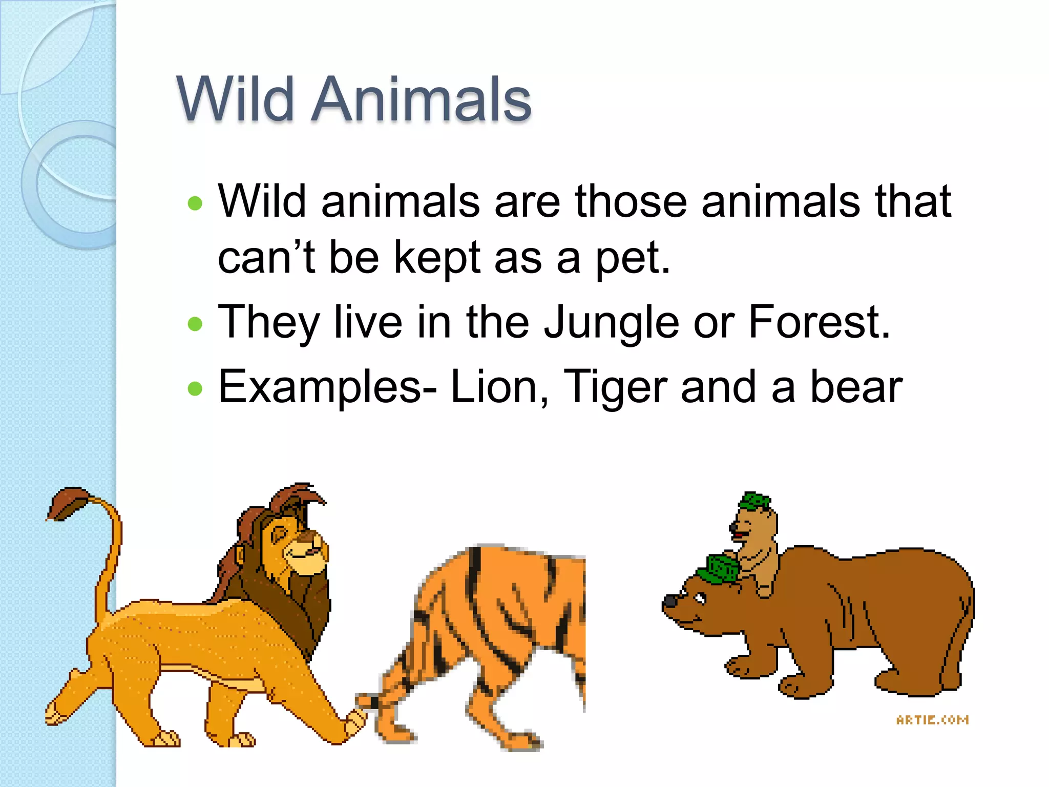 Animals (Brief Description) | PPT