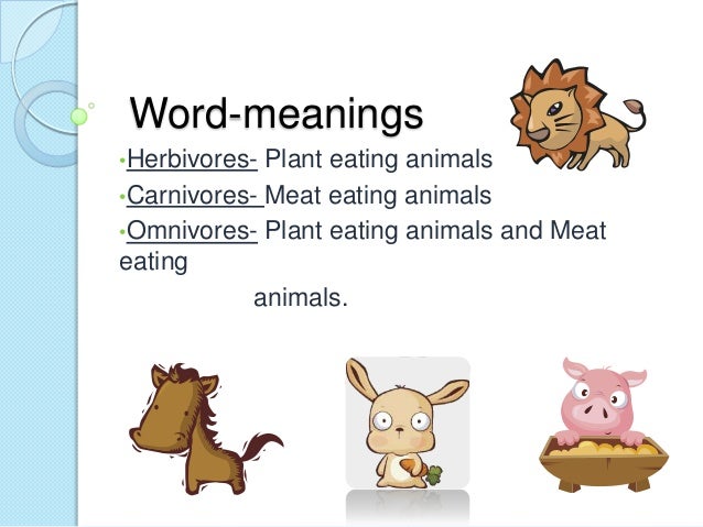 Animals (Brief Description)