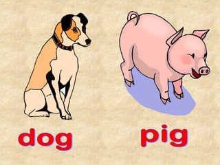Animals | PPS