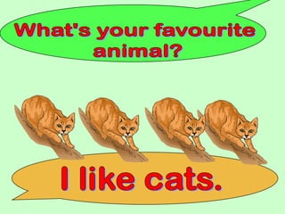 Animals | PPS
