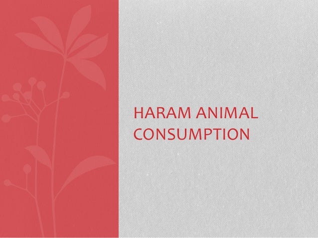 Animals in Islam