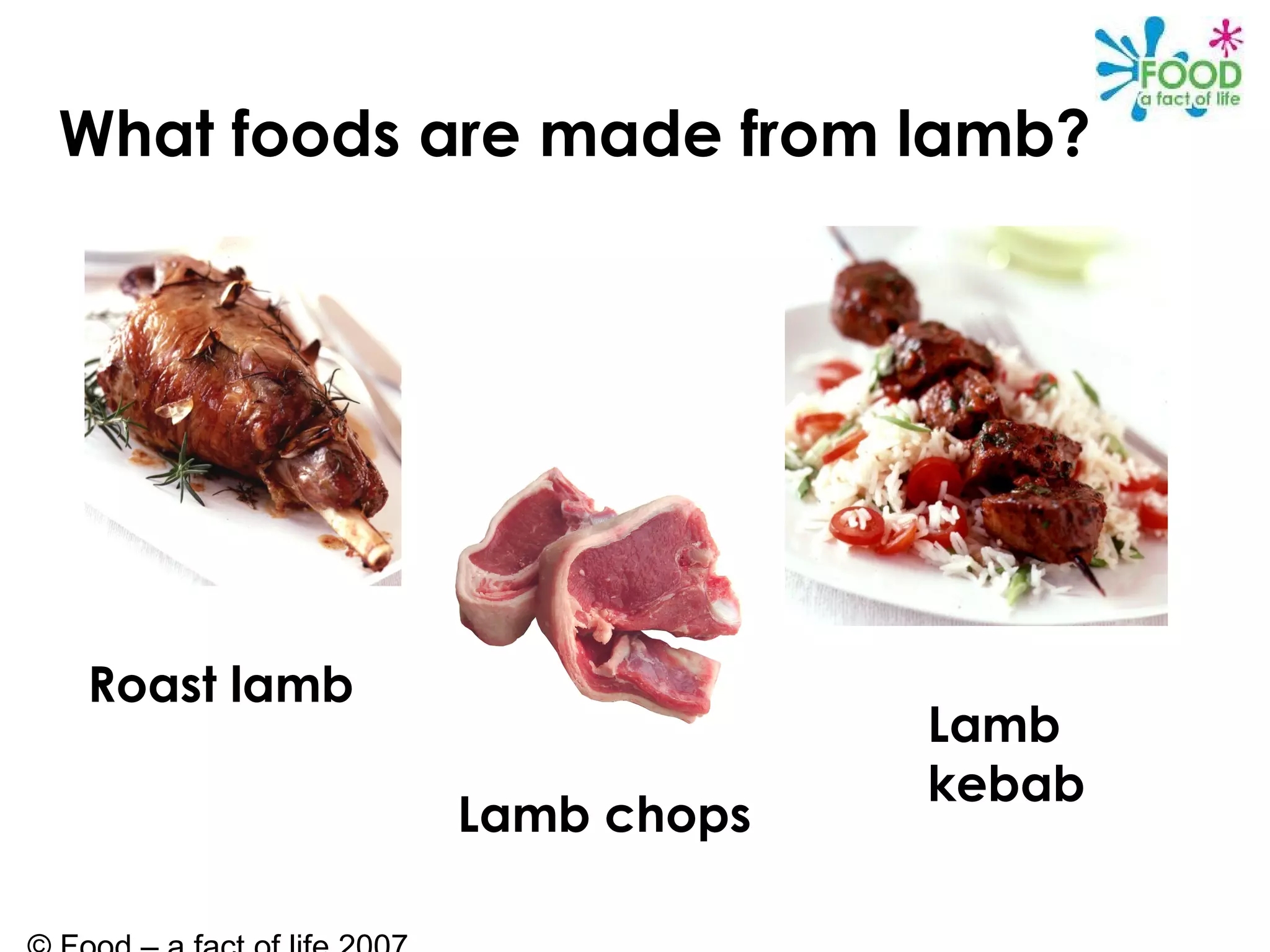 Food from animals | PPT