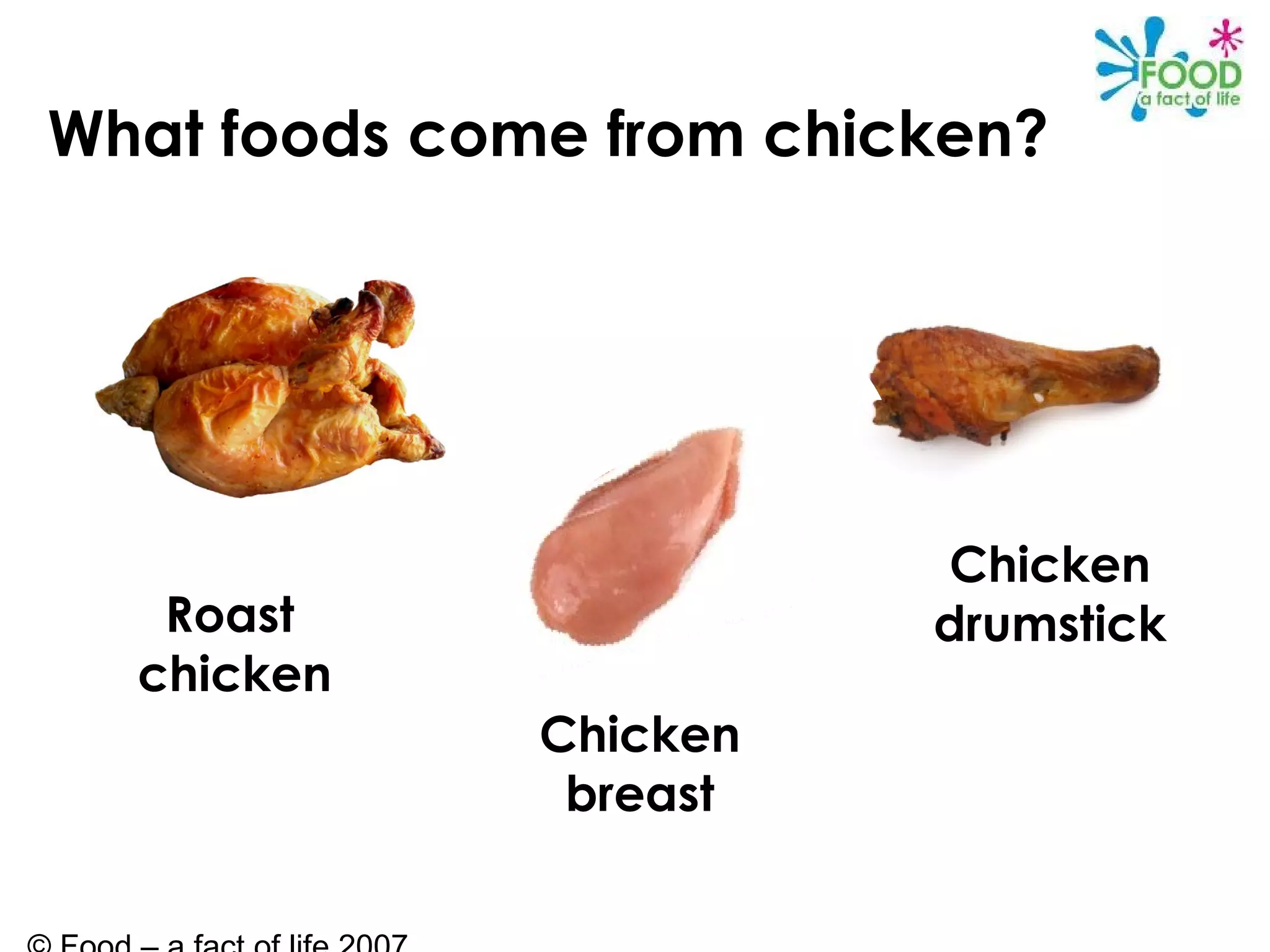 Food from animals | PPT