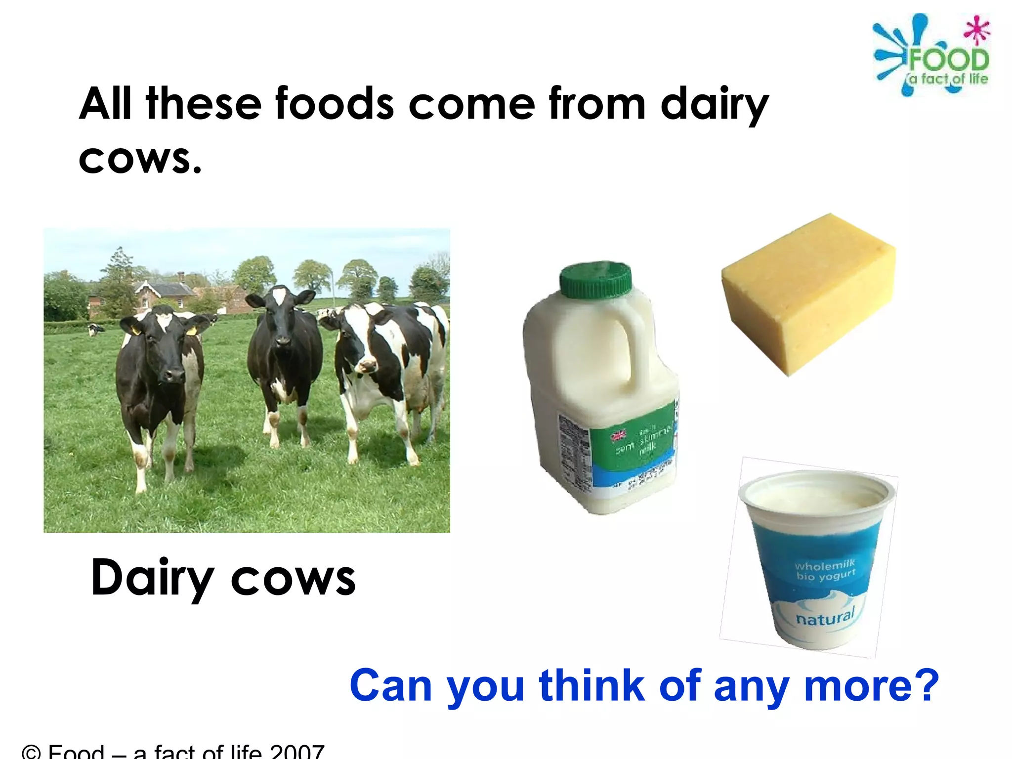 Food from animals | PPT