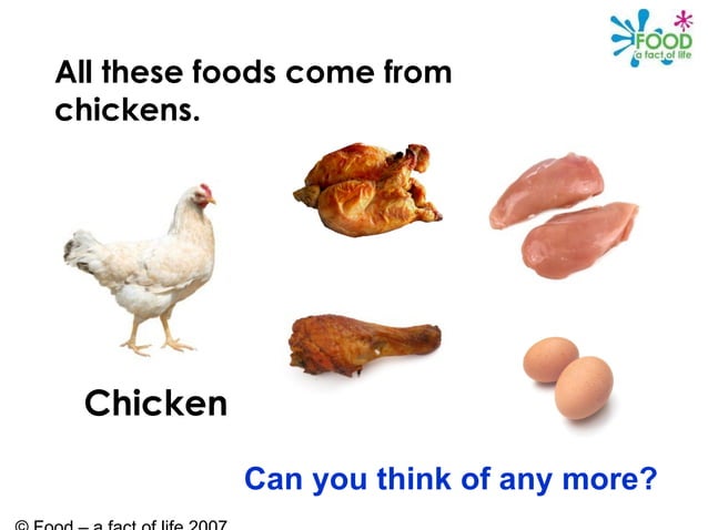 Food from animals | PPT | Barbecues and Grilling | Food & Drink