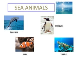 Animals explanation Can-Can´t | PDF