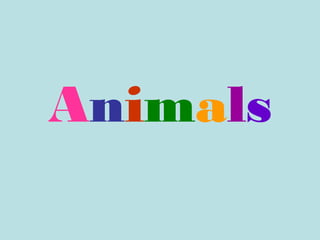 Animals | PPT