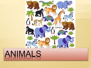 Animals | PPTX