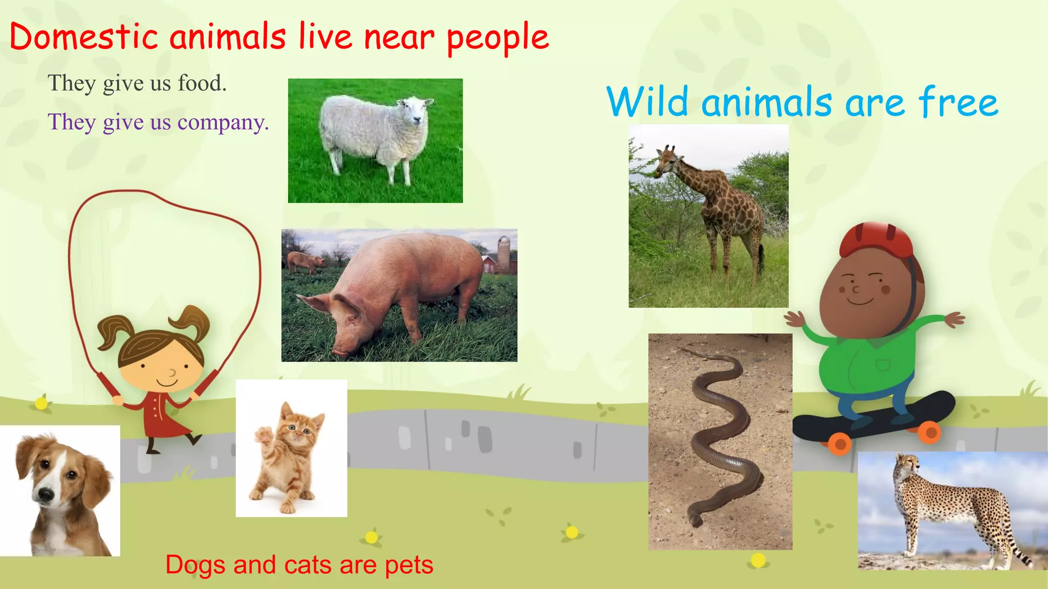 Animals 1º primaria | PPT