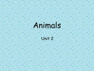 Animals | PPTX