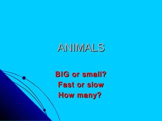 Animals | PPT