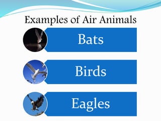 Animals | PPTX