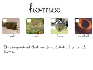 Animals | PPT