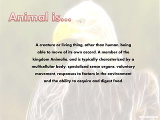 Animals | PPTX