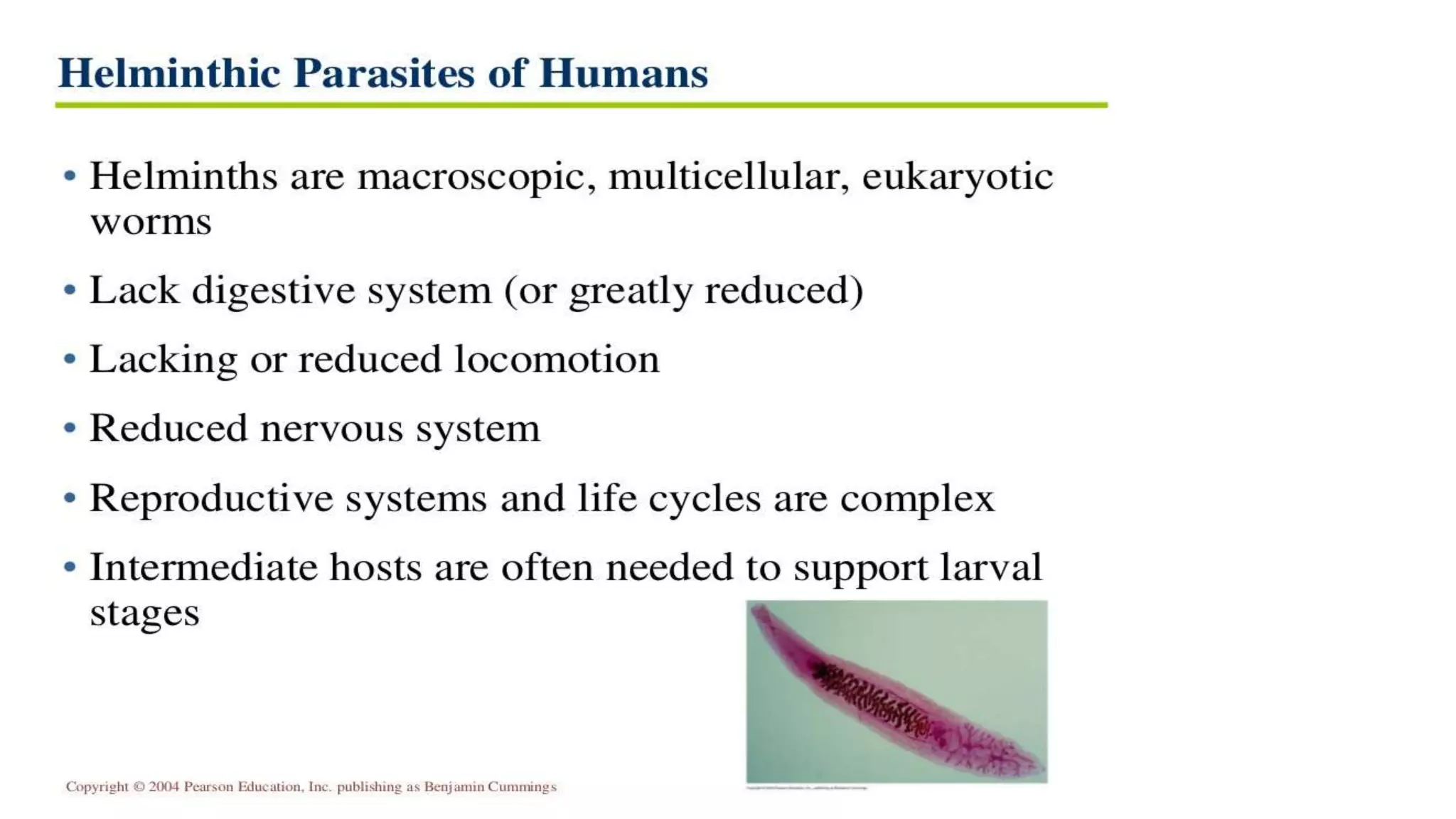 parasitic helminthis | PPTX