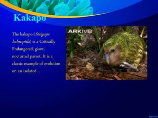 Animals , birds and fishes | PPT