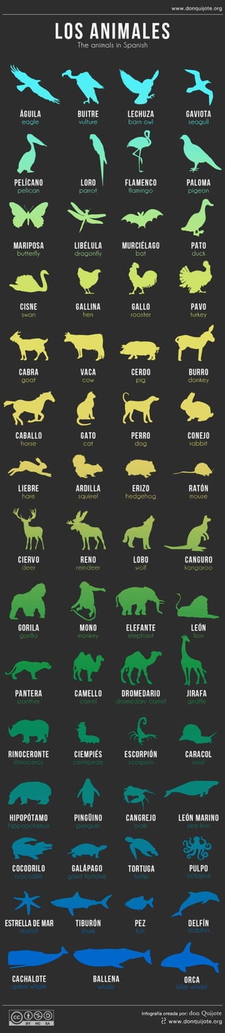Animals - Learn Spanish | PDF